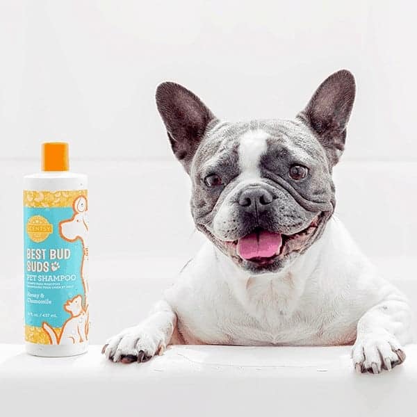 Scentsy Pet Products – Scentsy Online Store Australia