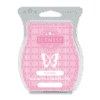 Musk Sticks Scentsy Bar - BBMB – Scentsy Online Store