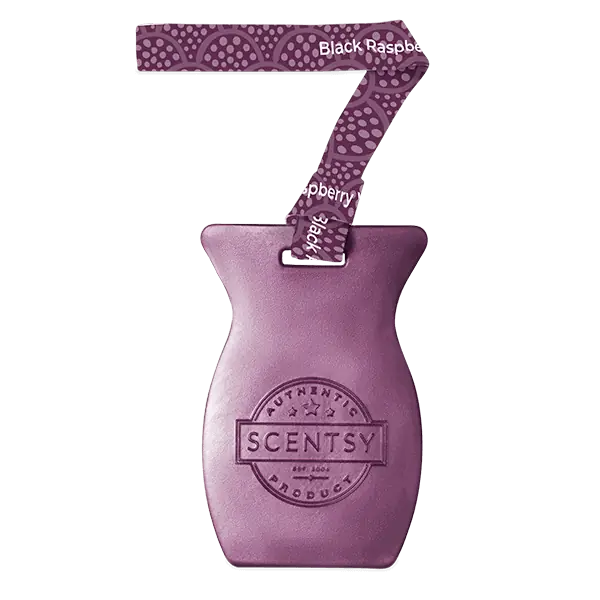 Scentsy car store