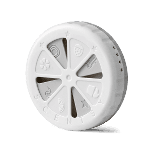 Black Raspberry Vanilla Travel Twist – Scentsy Online Store