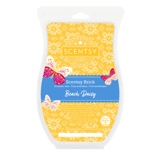 Beach Daisy Scentsy Brick – Scentsy Online Store