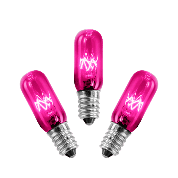 Replacement 15w Pink Light Bulb - 3 Pack – Scentsy Online Store