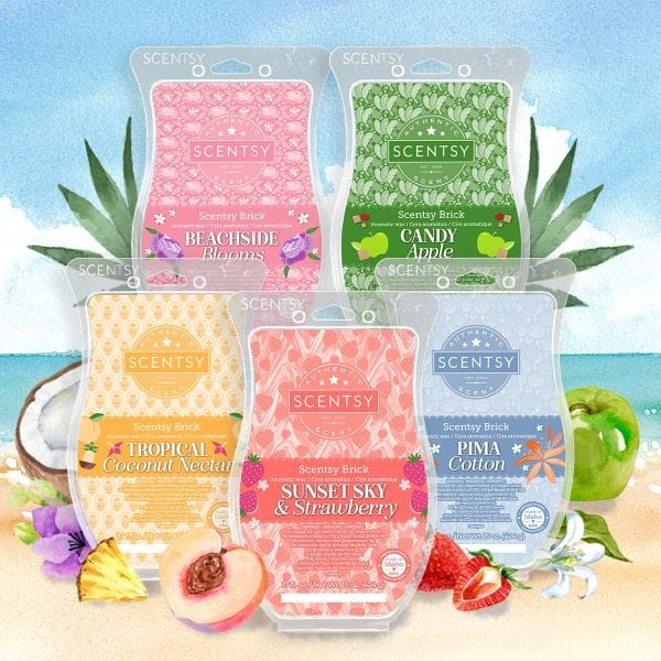 5-Brick Bundle – Scentsy Online Store Australia