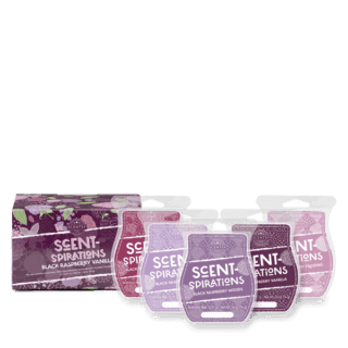Black Raspberry Vanilla Scent-spirations Bundle – Scentsy