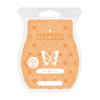 Gourdy Goodness Wax Collection Bundle – Scentsy Online Store