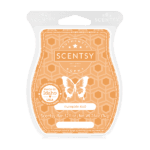 Gourdy Goodness Wax Collection Bundle – Scentsy Online Store