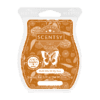 Gourdy Goodness Wax Collection Bundle – Scentsy Online Store
