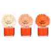 Sunset Cocktail - Dainty Daisy Fragrance Flower – Scentsy